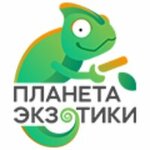 Planet exotic (Kirpichnaya Street No:29), petshop  Moskova'dan