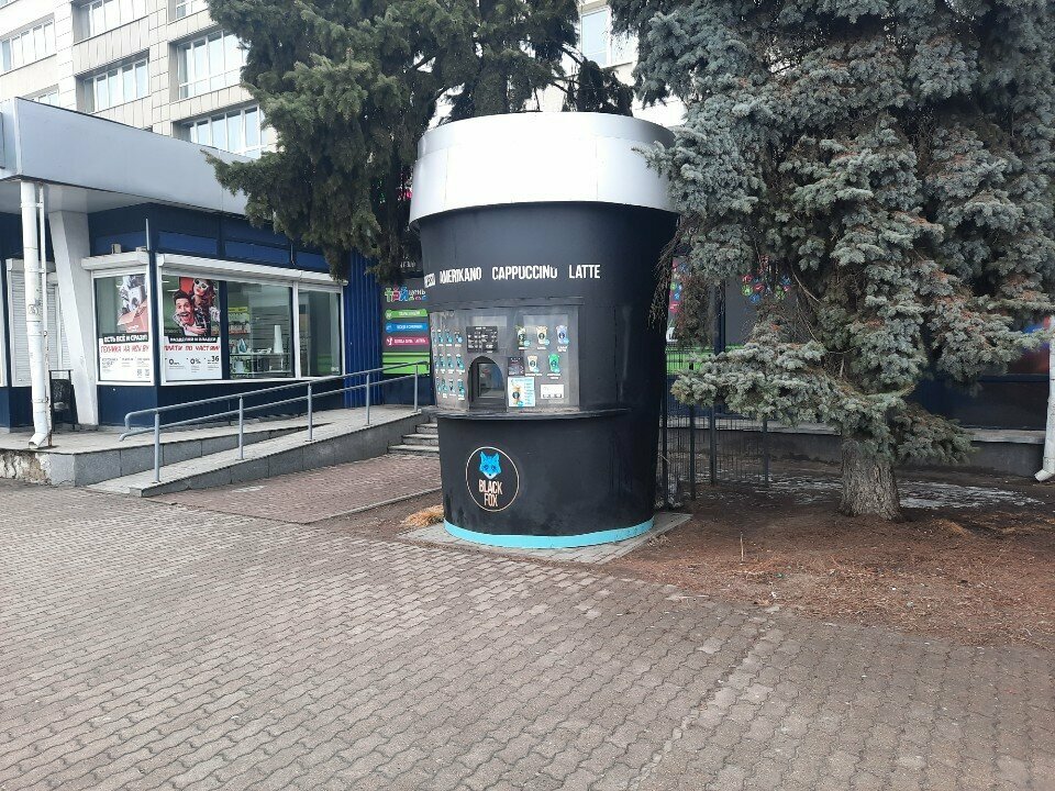 Al götür kahve Black fox, Gomel, foto