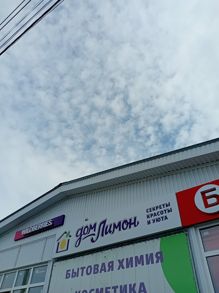 Ev temizlik ürünleri Дом лимон, Samarskaya oblastı, foto