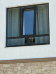 Поляна (Listopadnaya Street No:15А), otel  Soçi'den