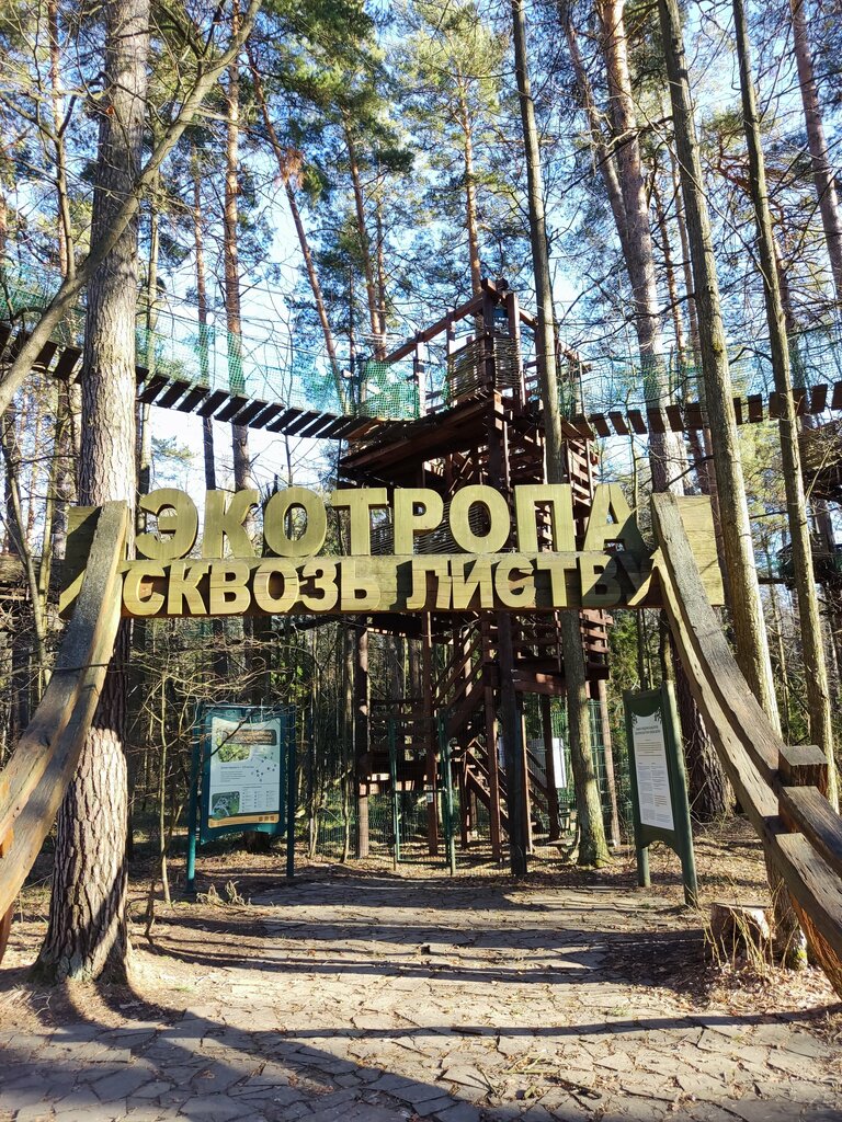 Atraksiyon Сквозь листву, Moskova ve Moskovskaya oblastı, foto
