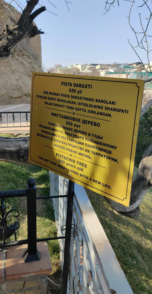 Şapel, haç anıtı Revived Sacred Pistachio Tree of Patriarch Alexy II, Semerkant, foto