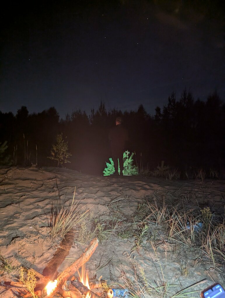 Plaj Пляж, Moskova ve Moskovskaya oblastı, foto