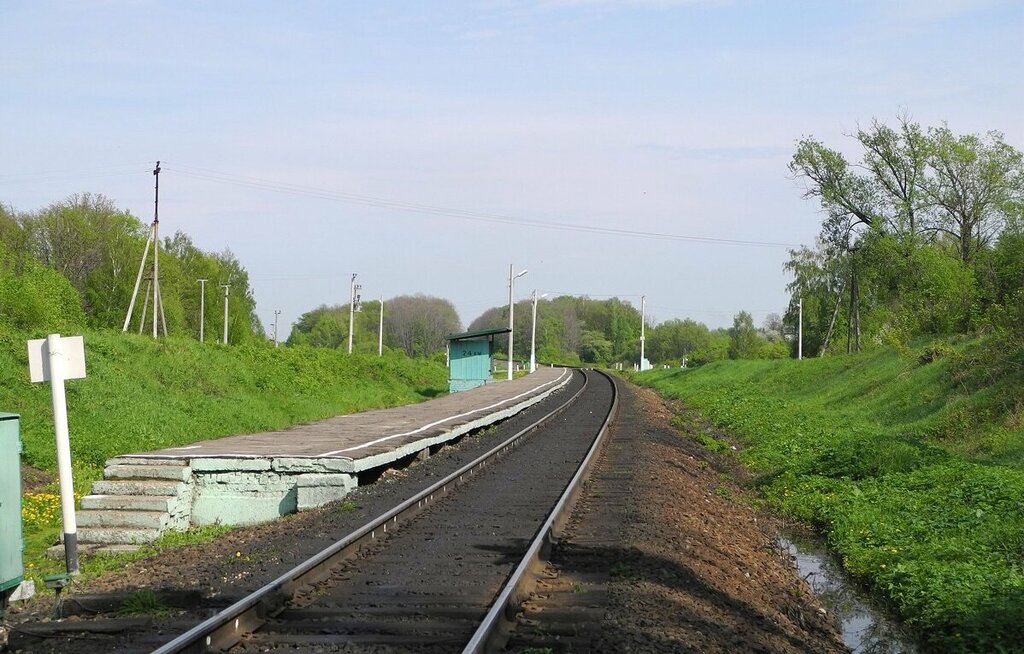 Tren istasyonu остановочный пункт 24 километр, Orlovskaya oblastı, foto