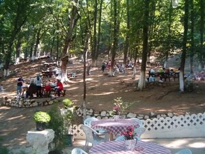 Cevizli Bahçe Kahvaltı ve Kamp Alanı (Yalova, Termal, Yenimahalle Köyü), kafe  Termal'den