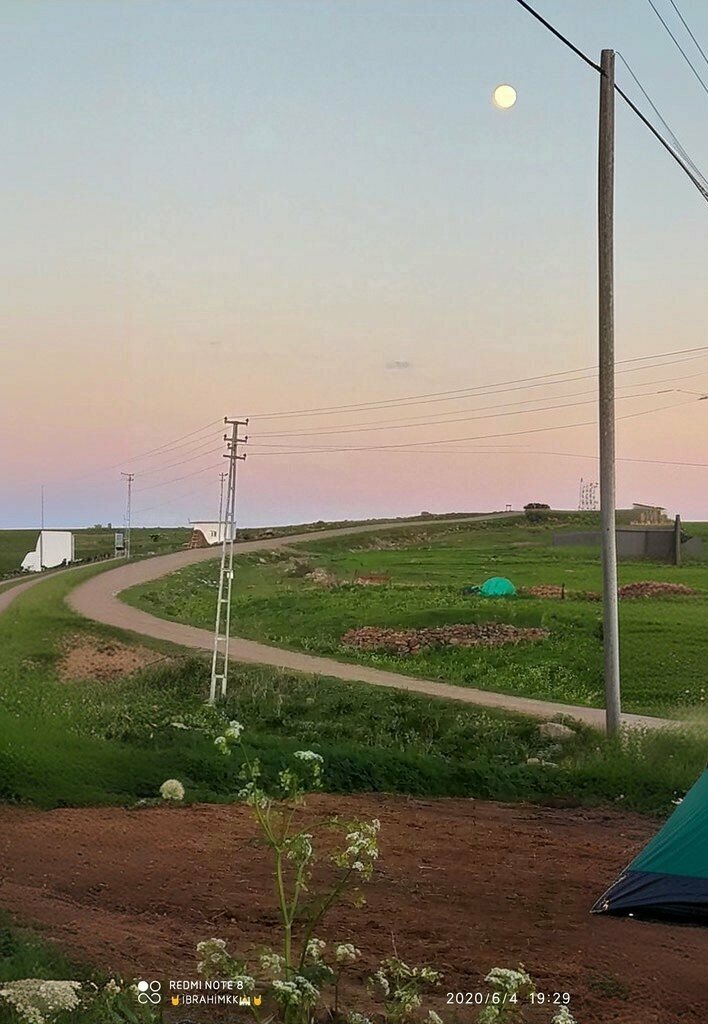 Muhtarlıklar Akmazdam Köy Muhtarlığı, Arpaçay, foto