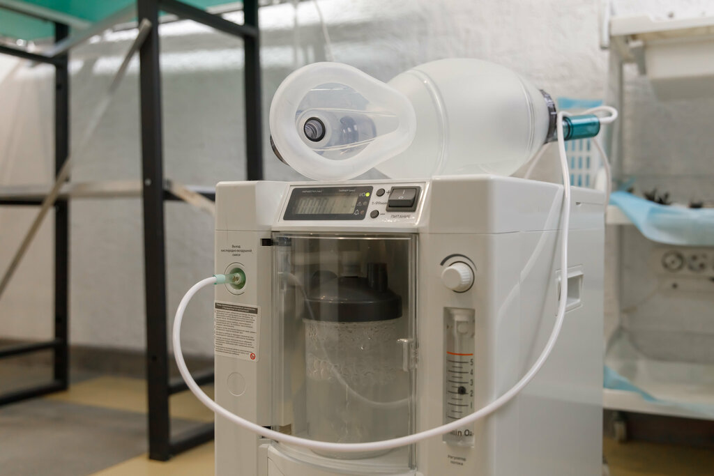 Veteriner klinikleri BioSfera, Krasnoyarsk, foto