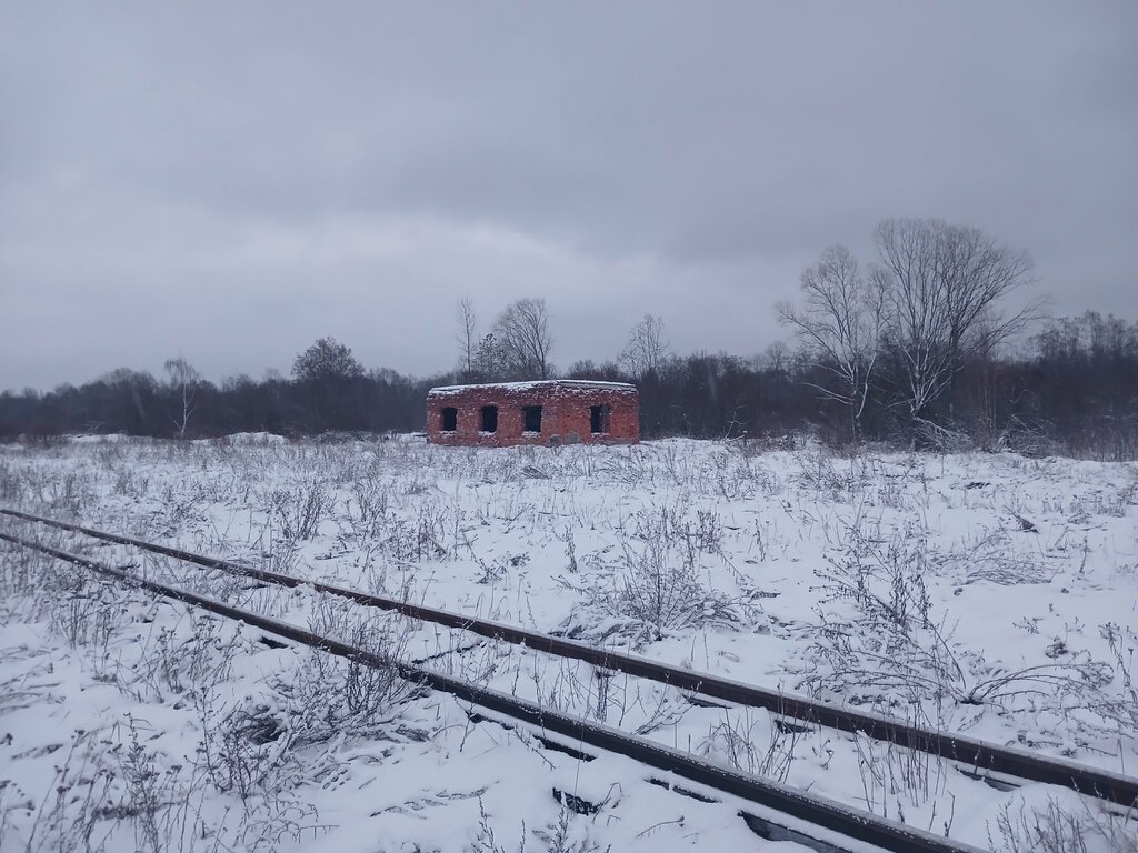 Yük istasyonu остановочный пункт 4-й пост, Novgorodskaya oblastı, foto