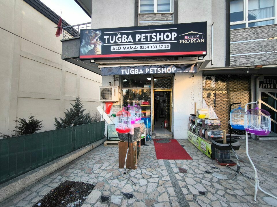 Petshop Sevimli Canlar Petshop Akvaryum Kuş Balık, Ankara, foto