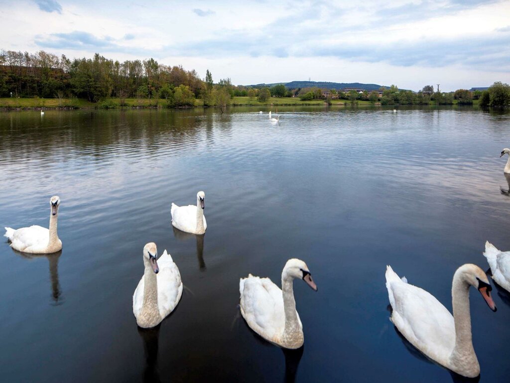Otel Ibis Swansea, Swansea, foto