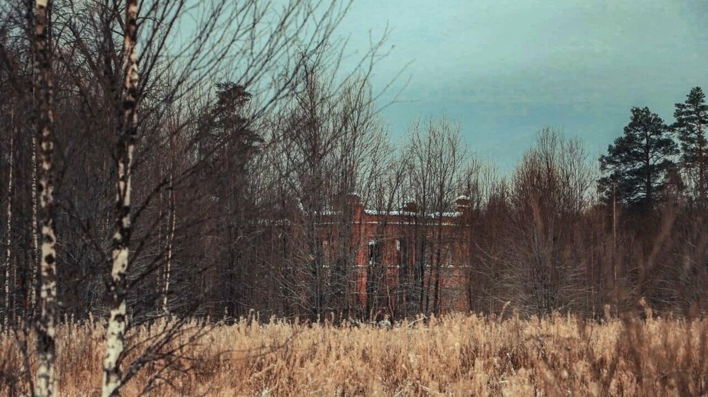 Kültür ve eğlence parkları Парк-усадьба помещика Висленева XIX века, Novgorodskaya oblastı, foto