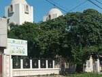 Iglesia San Jorge Copta Ortodoxa (Santa Cruz de la Sierra, Distrito Municipal 6, Avenida Principal Los Chacos), dini dernekler  Santa‑Krus'tan