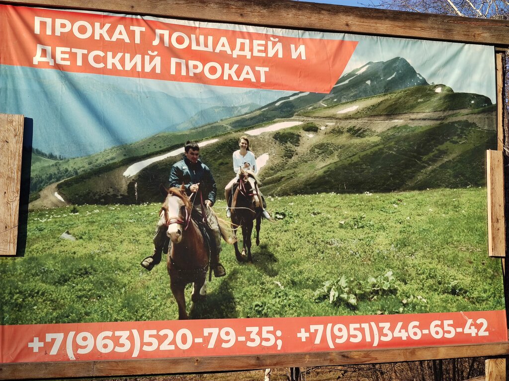 At ve binicilik kulüpleri Конный клуб, Altay Cumhuriyeti, foto