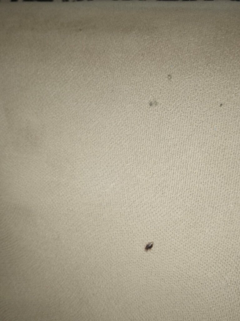 Haşere ilaçlama firmaları ГорСЭС Саратова, Saratov, foto