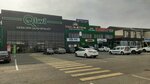 Nice (Atyraý qalalyq ákimdigi, Atyraý-Dossor tas joly, 32), züccaciye mağazaları  Atırav'dan