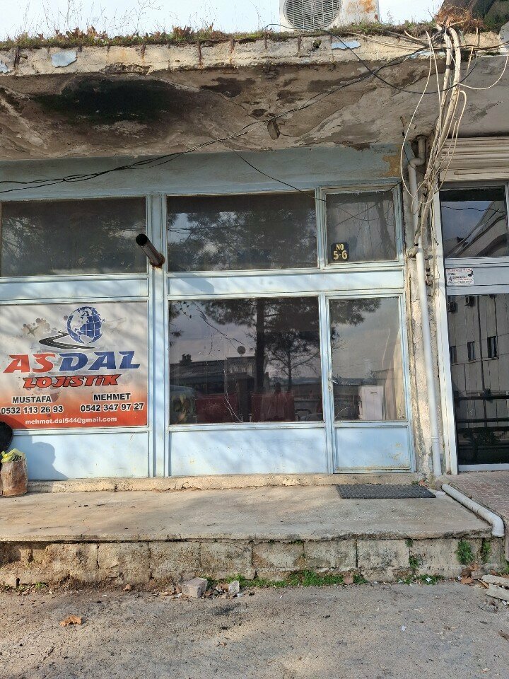 Araç nakliye Asdal Lojistik, Gaziantep, foto