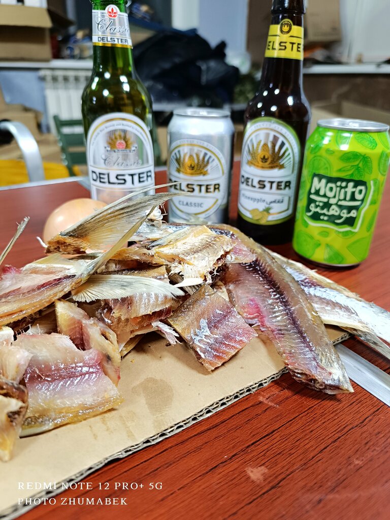 Balıkçılık ekipman firmaları Zhumysker, Atırav, foto
