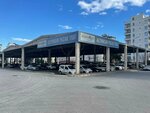 Cuma Pazarı (Antalya, Konyaaltı, Altınkum Mah., 442 Sok., 19-21), gıda pazarı  Antalya'dan