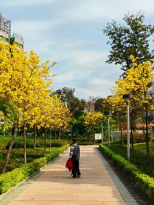 North District Park (Hong Kong, North District, North District Park), kültür ve eğlence parkları  Hong Kong'dan