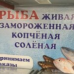 Рыба и морепродукты (Buninskaya Alleya Street No:9), balık ve deniz ürünleri  Moskova'dan