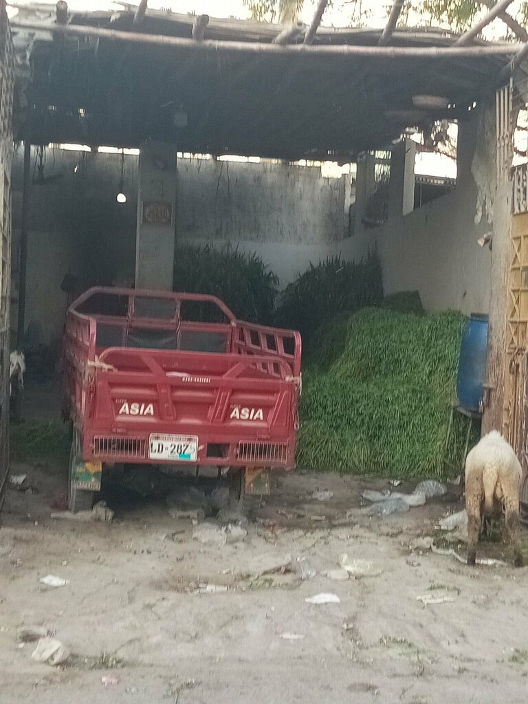 Yem ve yem katkı maddeleri Charra house, Karaçi, foto