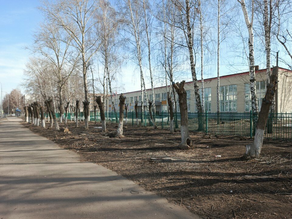 Ortaokul Mbou Srednyaya obshcheobrazovatelnaya shkola № 8, Naberejniye Çelny (Yar Çallı), foto