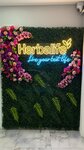Herbalife Diyarbakır Ofisi (Diyarbakır, Yenişehir, Yaşar Kemal Cad., 27), güzellik salonu  Diyarbakır'dan