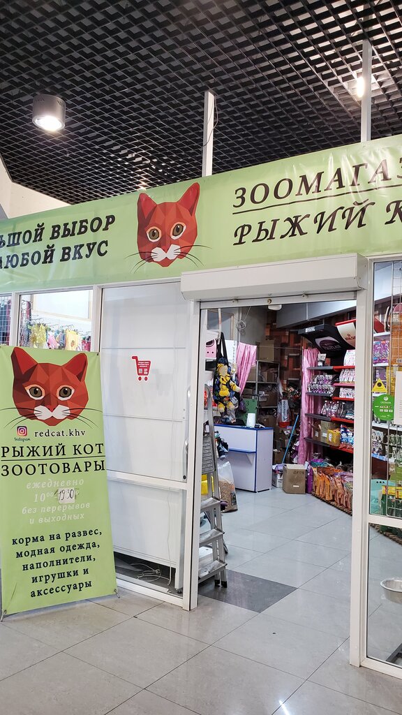 Petshop Ryzhiy Kot, Habarovsk, foto