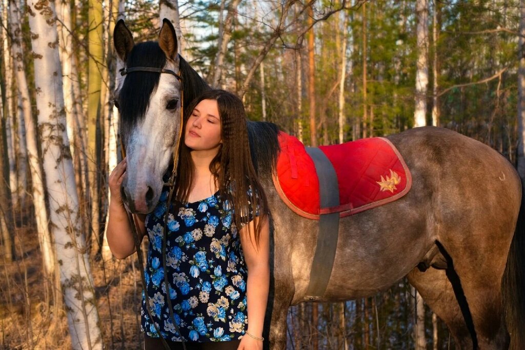 At ve binicilik kulüpleri Всадник, Nijnevartovsk, foto