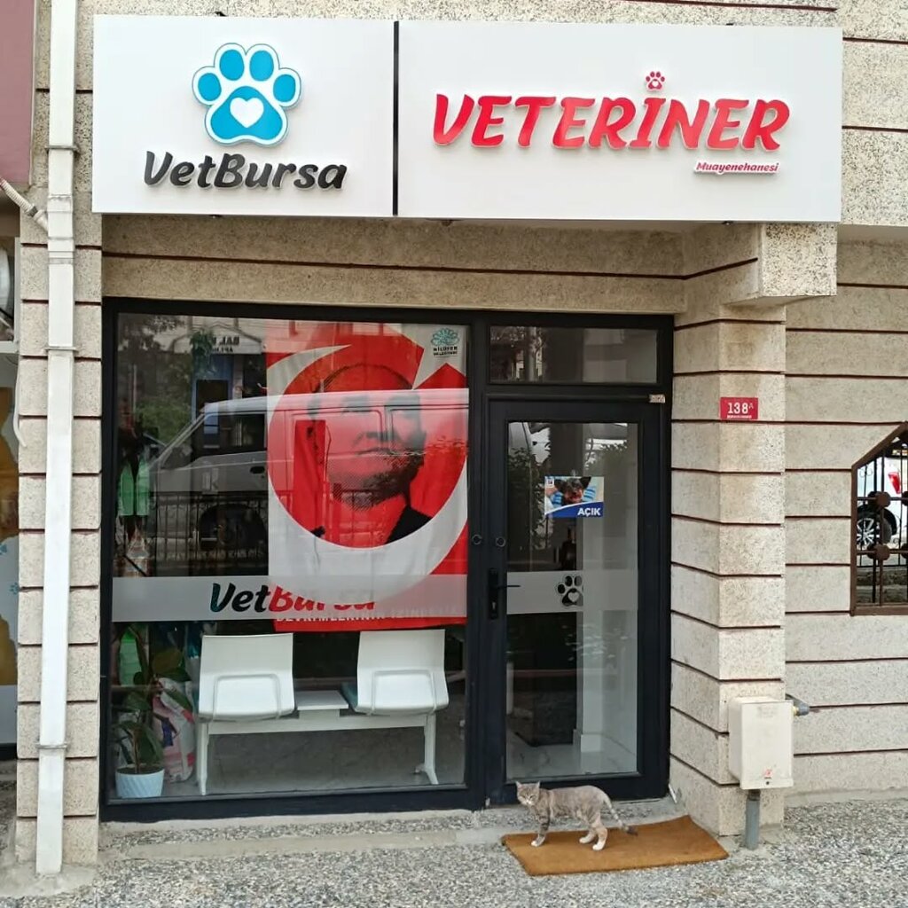 Veteriner klinikleri VetBursa, Bursa, foto