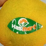 HasMert Tarım (Hatay, Dörtyol, Altınçağ Mah., Hasoğlu Cad.), tarım firmaları  Dörtyol'dan