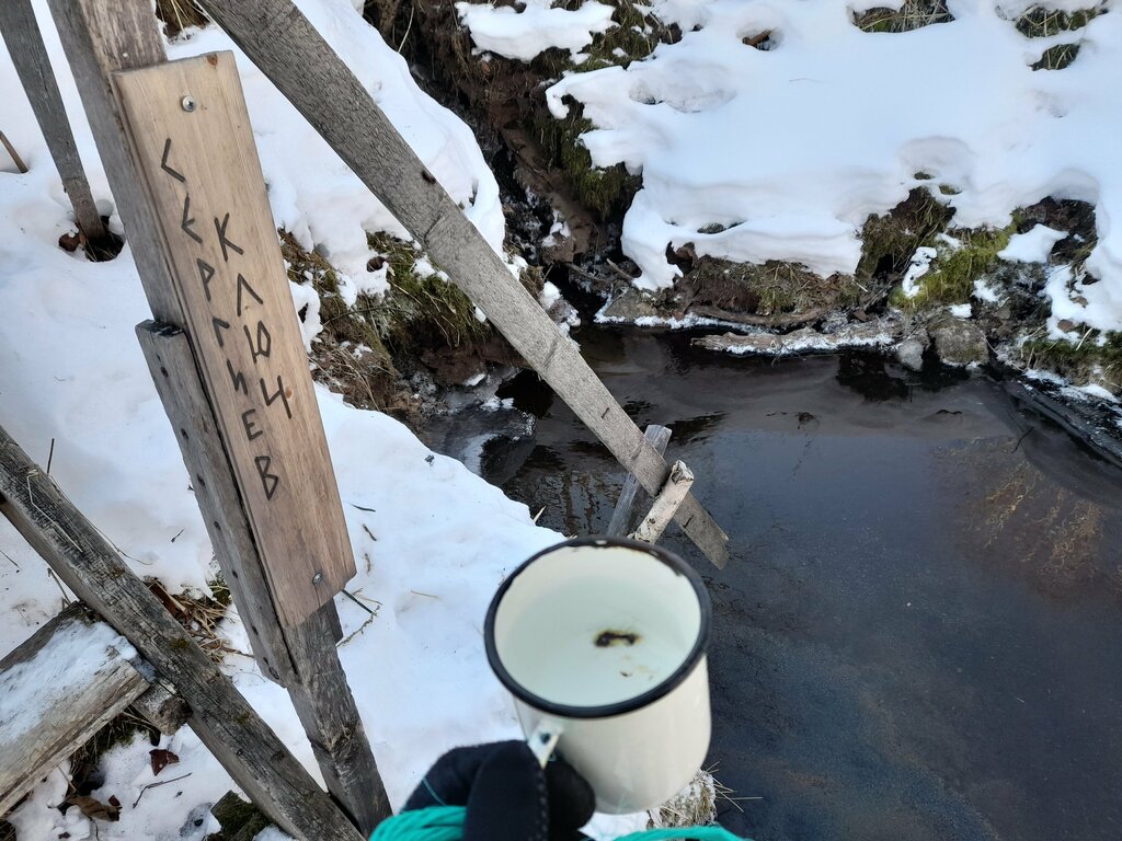 Pınar, çay Spring, stream, Kamçatski krayı, foto