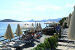 Aktur Residence (Bitez Mah., 1317. Sok., No:10, Bodrum, Muğla), restoran  Bodrum'dan