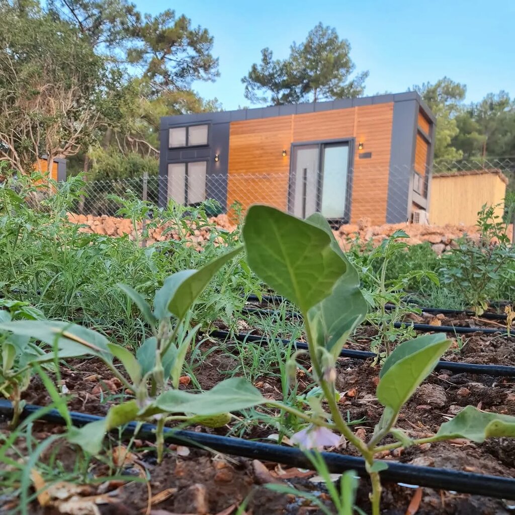Yaz kampı Akyaka İzci Kampı, Menteşe, foto