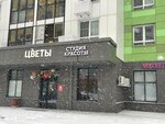 Art Studio (Vilisa Latsisa Street No:38к1), güzellik salonu  Moskova'dan