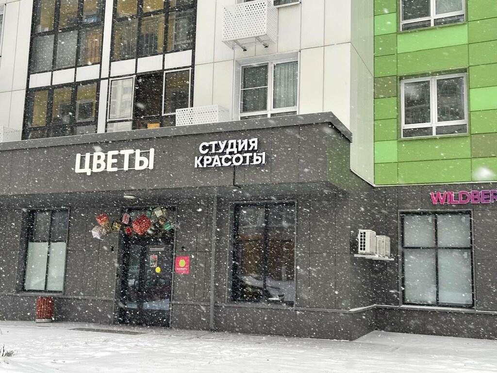 Güzellik salonu Art Studio, Moskova, foto