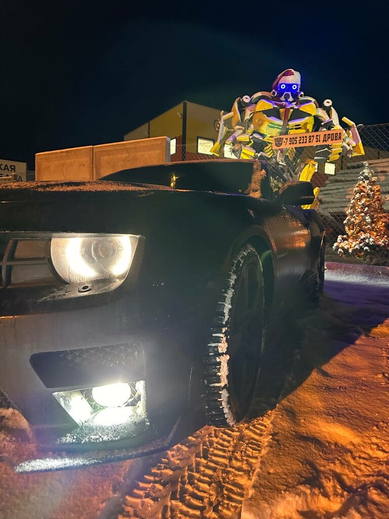 Park, sokak heykeli Робот-трансформер Бамблби, Kirovsk, foto