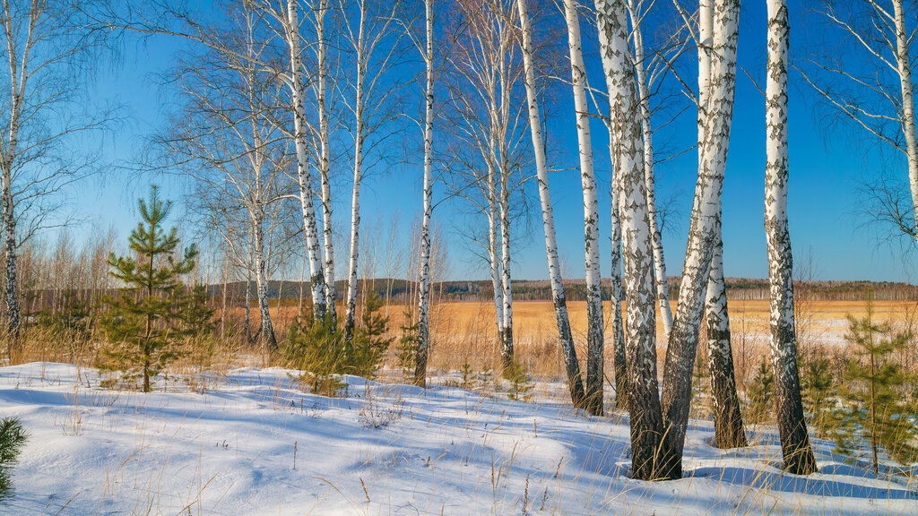 Dağ zirvesi скалы Тропника, Yekaterinburg, foto
