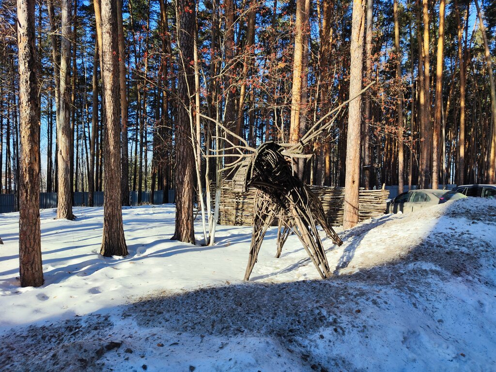 Tıbbi rehabilitasyon merkezleri Областная наркологическая больница, Yekaterinburg, foto