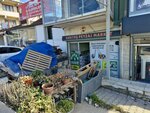 Sarıtaş Peyzaj Market (Hadımköy Yolu Cad., No:224, İstanbul), peyzaj tasarımı  İstanbul'dan