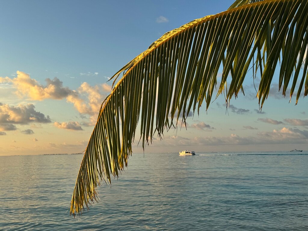 Otel Sky Beach Maldives, , foto
