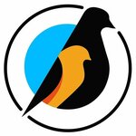 Talkative Birds Online School (No:6, Chilanzar District, Chilanzar Residential Area, 1-mavze), eğitim merkezleri  Taşkent'ten