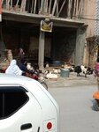 Mashallah Bakra Shop (Province of Punjab, Rawalpindi, 22 Chungi Road), tarım firmaları  Rawalpindi'den