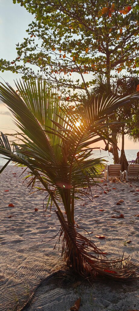 Otel Chom Tawan Villa, Phuket Eyaleti, foto