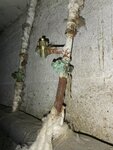 Ust-Kachka Servis (ulitsa Pobedy No:16, selo Ust-Kachka), yönetim ofisi  Permski krayından