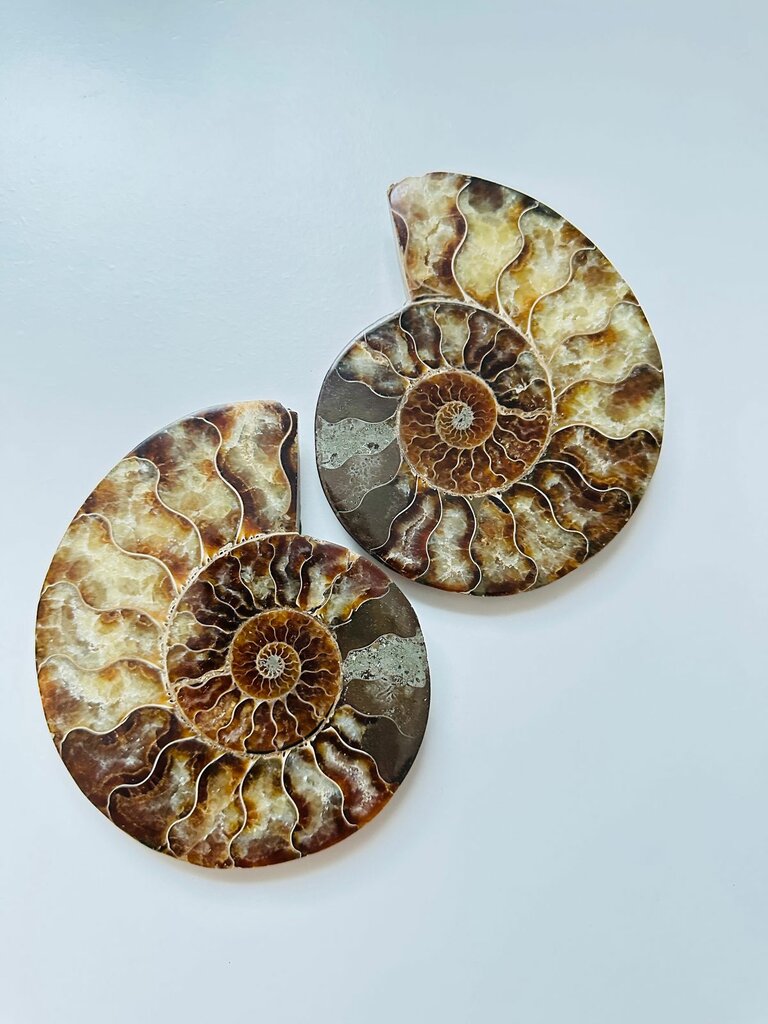Taşların, fosillerin ve minerallerin satışı Moon-Shards, Jilin, foto