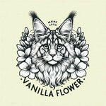 Питомник мейн-кунов Vanilla Flower (Sovetskaya Street No:19, mikrorayon Borovoye, Gusev), evcil hayvan yetiştiricileri  Gusev'den