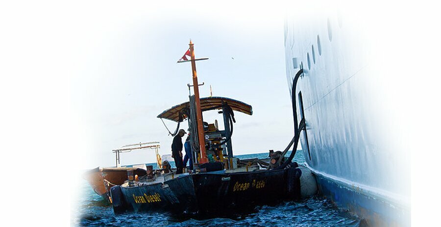 Gemicilik acenta hizmetleri Al Maruf Marine Services, Ayman, foto