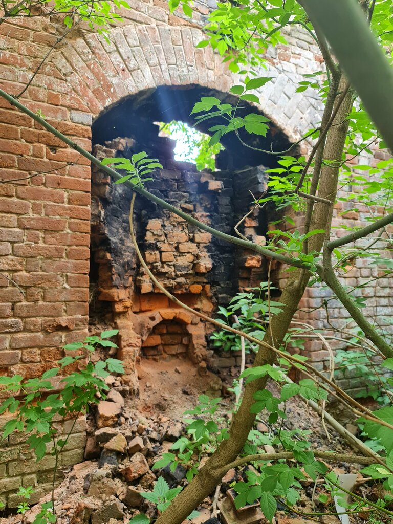 Turistik yerler Усадьба Новосильцевых, Tulskaya oblastı, foto