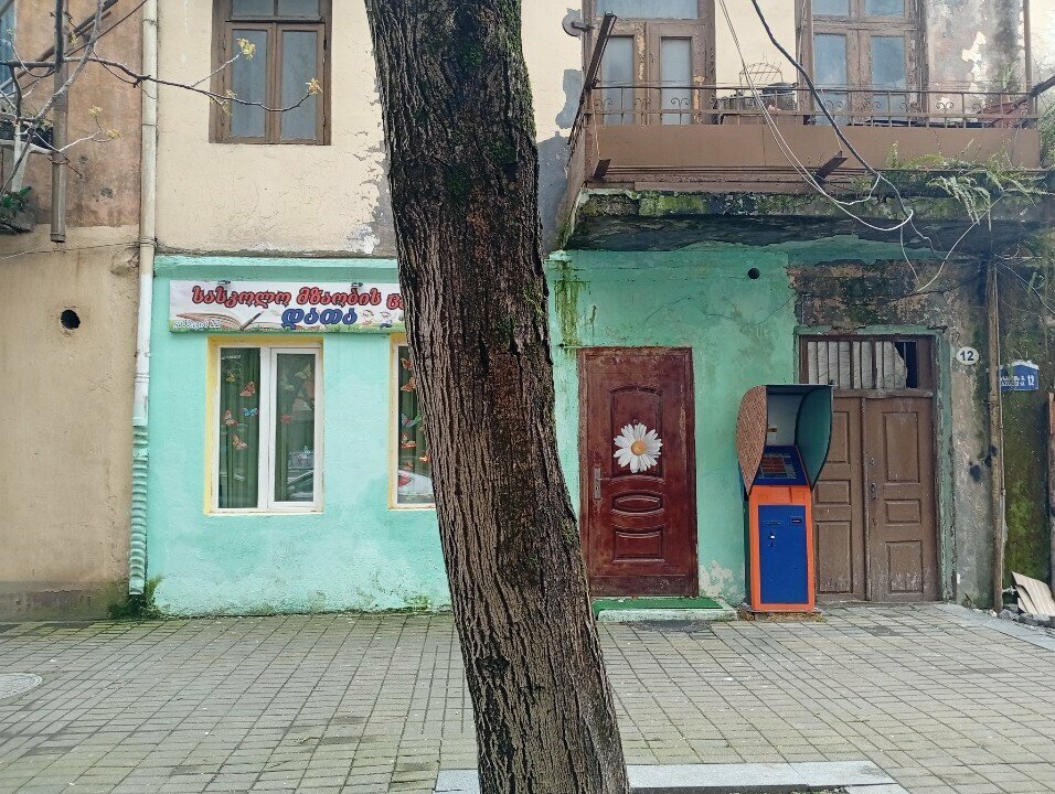 Çocuk esirgeme kurumu Школьный центр, Batum, foto